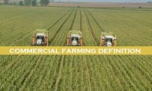 Commercial Farming Definition and Types of Farming - Basic Agricultural ...