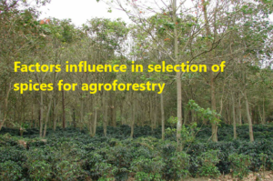 15 Factors influence in the selection of agroforestry plants - Basic ...