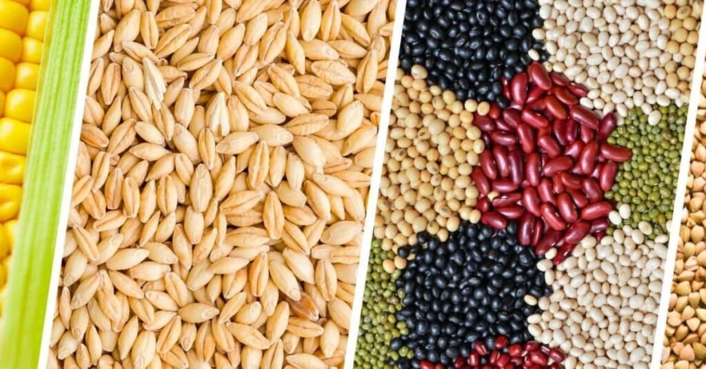 Quality Control of Crops Definition with 4 Basic Factors - Basic ...