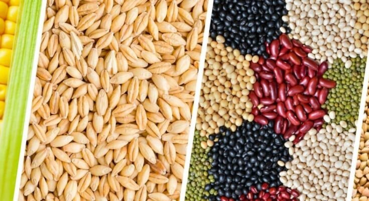 Quality Control of Crops Definition with 4 Basic Factors - Basic ...