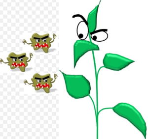 Plant Resistance to insects - Basic Agricultural Study